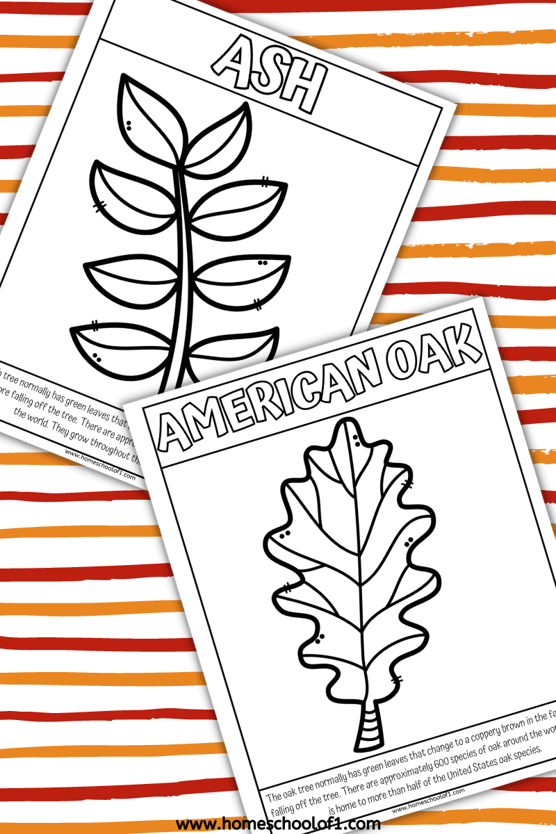 7 Printable Fall Leaf Coloring Pages (great for school)