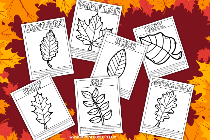 7 Printable Fall Leaf Coloring Pages (great for school)