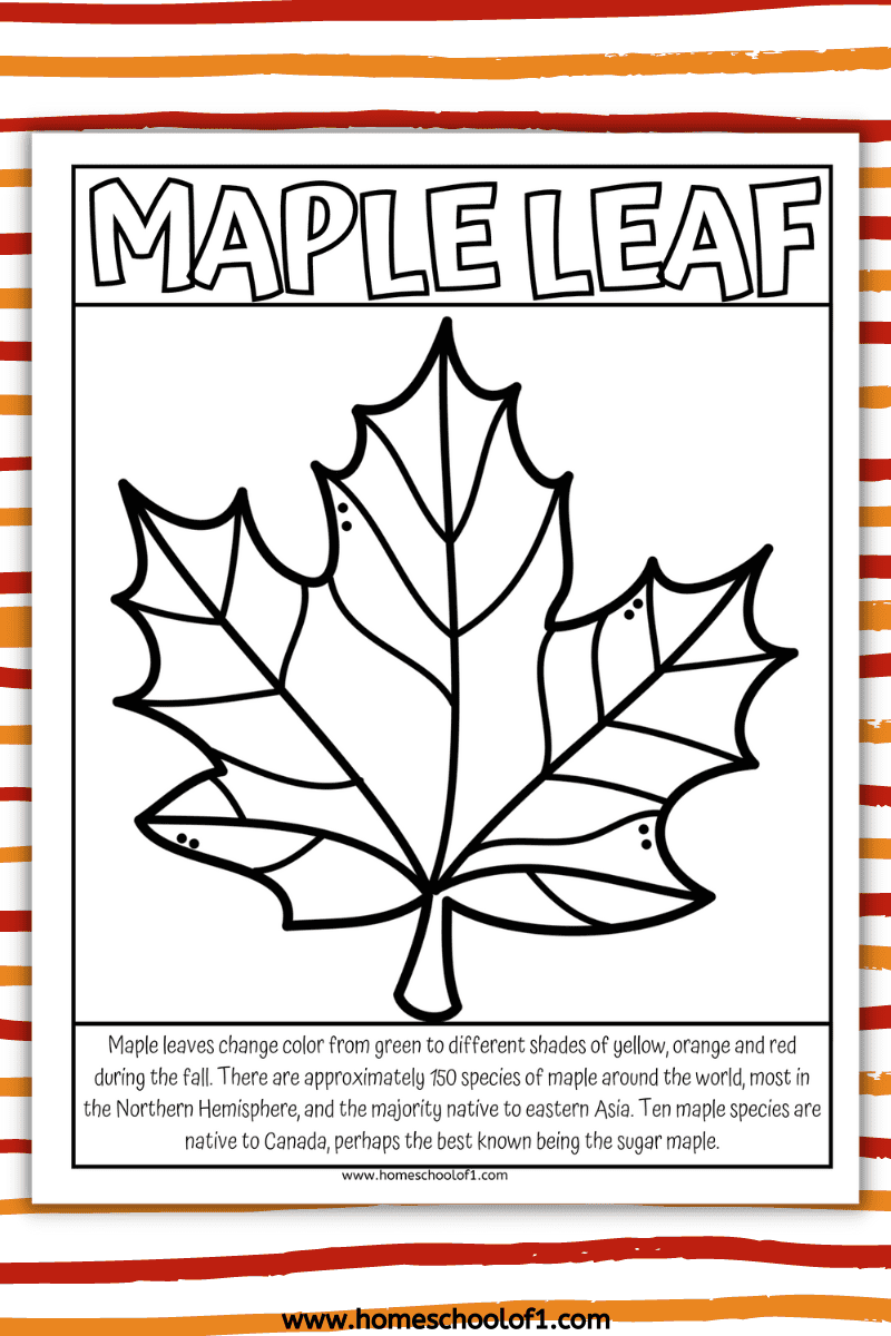 7 Printable Fall Leaf Coloring Pages (great for school)