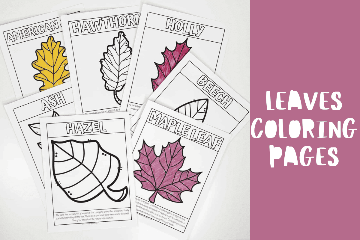 7 Printable Leaves Coloring Pages