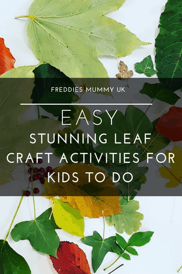 7 Free Leaf Coloring Pages (With Tree Facts & Fall Fun)