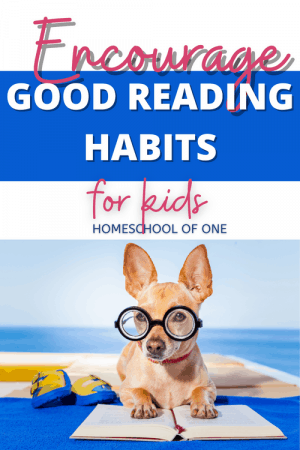 How to Encourage Reading Habits - 19 Fun Ideas
