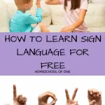Best ASL Homeschool Curriculum (+ Free Poster)