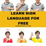 Best ASL Homeschool Curriculum (+ Free Poster)