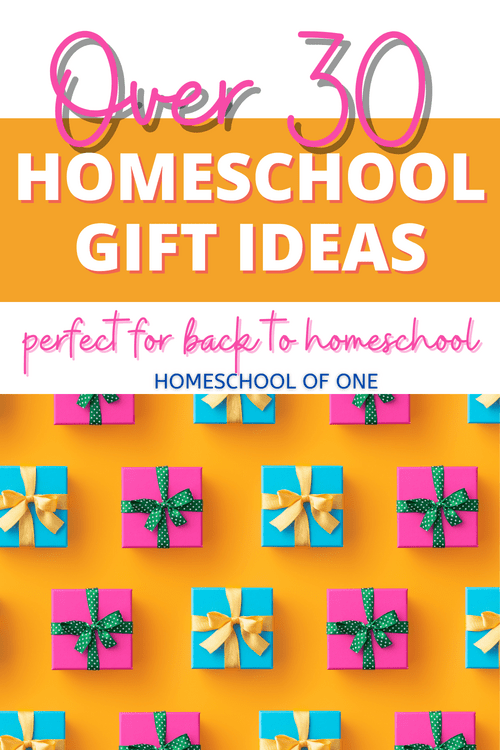 Best Gifts for Homeschoolers (That Make Learning Fun All Year)