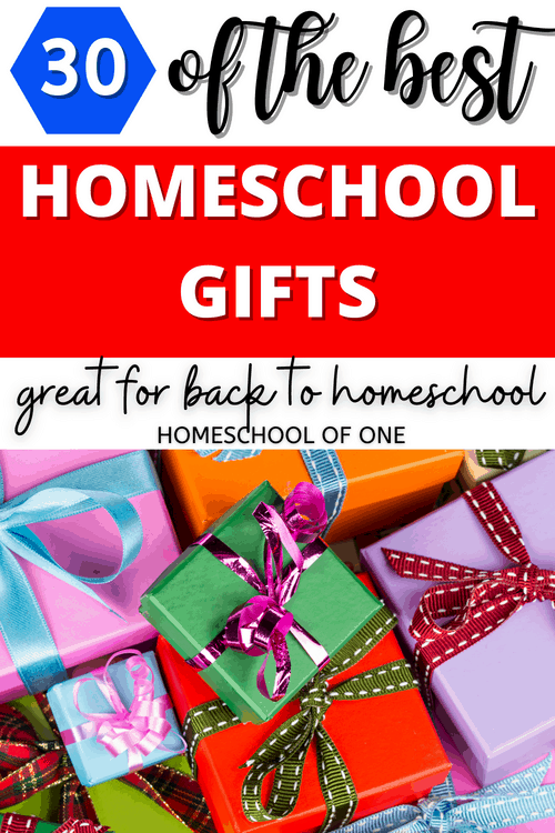 Best Gifts for Homeschoolers (That Make Learning Fun All Year)