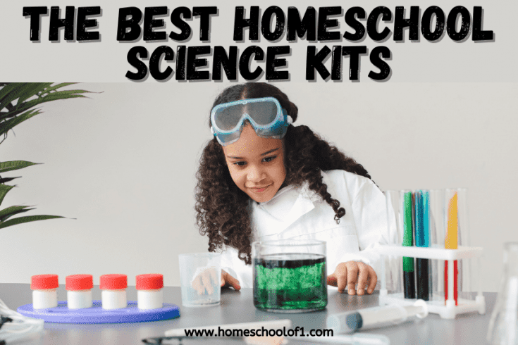 18 Best Science Gifts For Teenagers - Homeschool of One