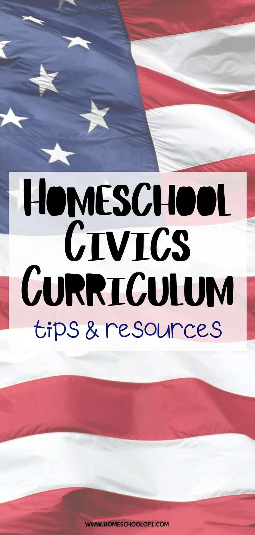 Navigating Homeschool Civics Curriculum | A Guide