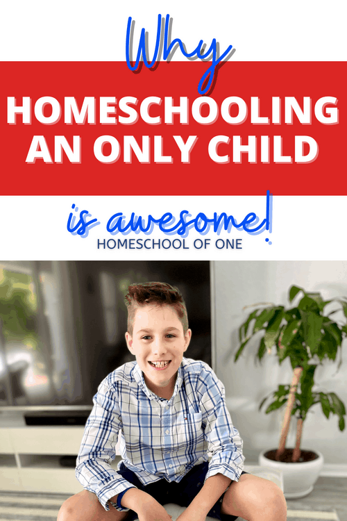 Why Homeschooling An Only Child Is Awesome!