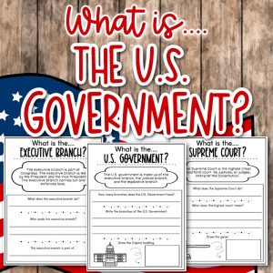 13 Free Government Worksheets. What Is the US Government?
