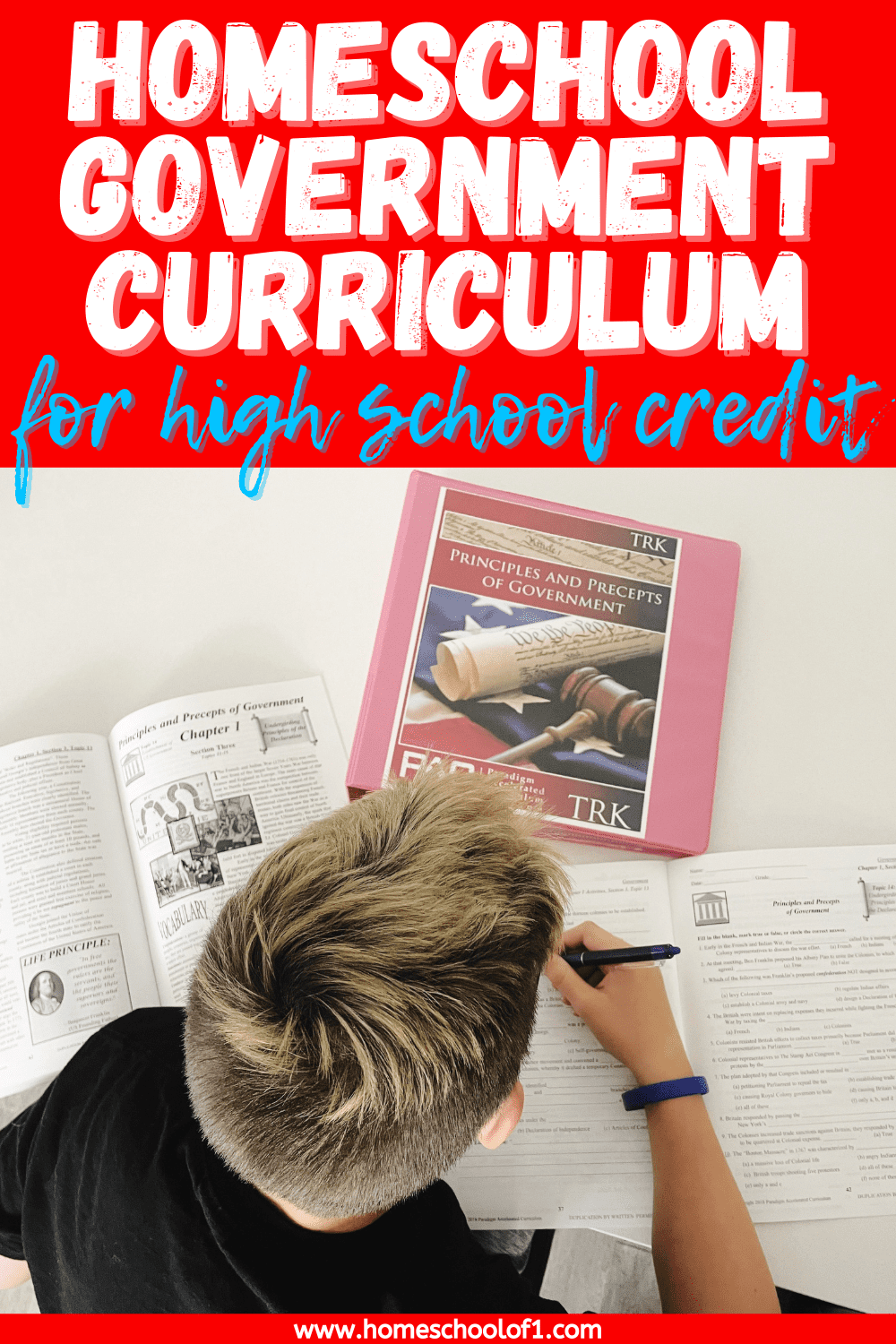 Best Homeschool Government Curriculum For High School