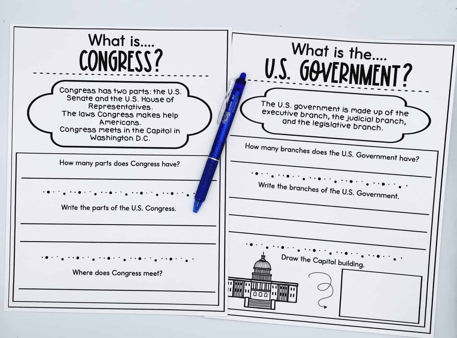 Free What Is Government Worksheet For Elementary Students