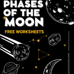 Free Phases of the Moon Worksheet for Kids