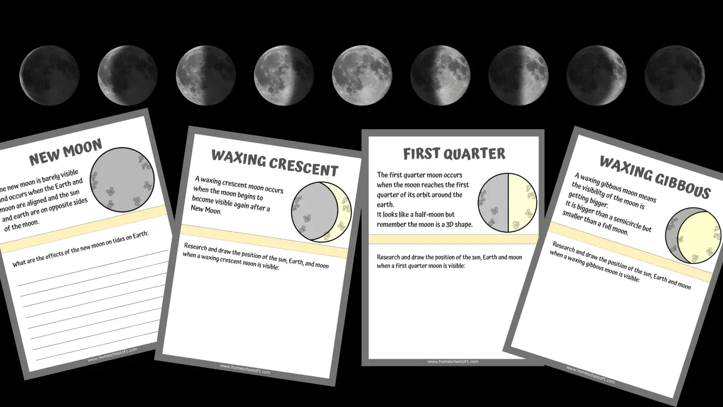 10 Best Phases of the Moon Worksheets (Free)