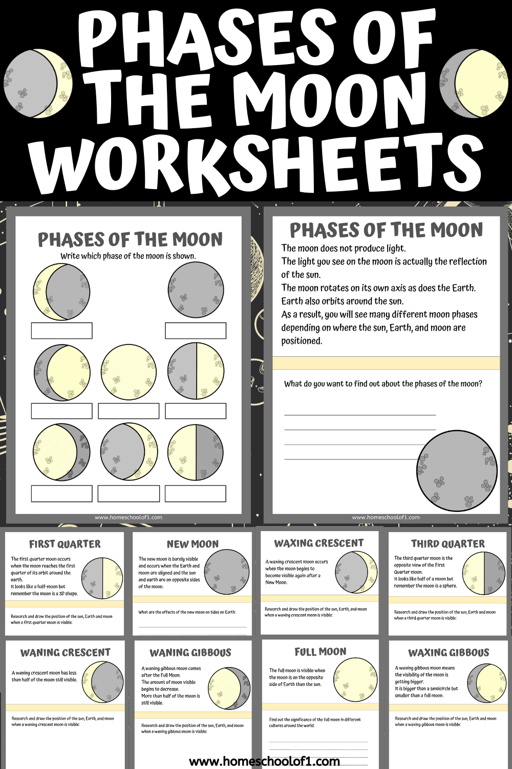 Free Phases of the Moon Worksheet for Kids