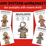 Free Printable Human Body Systems Worksheets For Kids