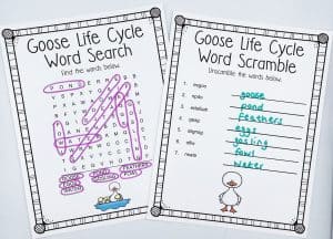 Life Cycle of a Goose Worksheet (Free Printable)