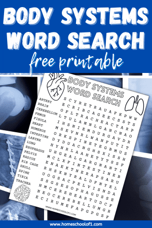 Human Body Systems Word Search For Kids