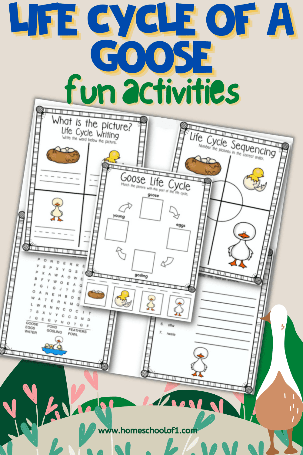 Life Cycle of a Goose Worksheet (Free Printable)