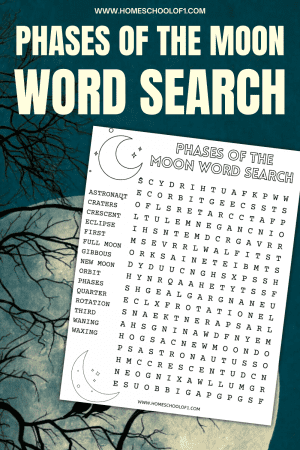 Phases of the Moon Word Search Printable for Kids