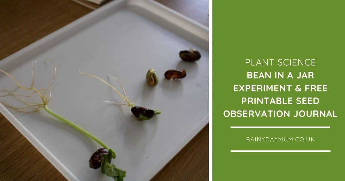 113 Free Printable Science Worksheets For Elementary