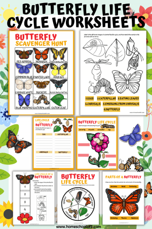 Life Cycle of a Butterfly Worksheets (7 free printables)