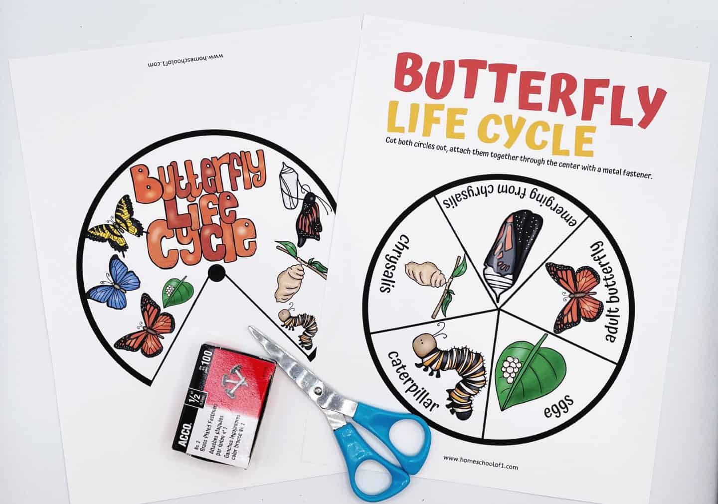 Life Cycle of a Butterfly Worksheets (7 free printables)