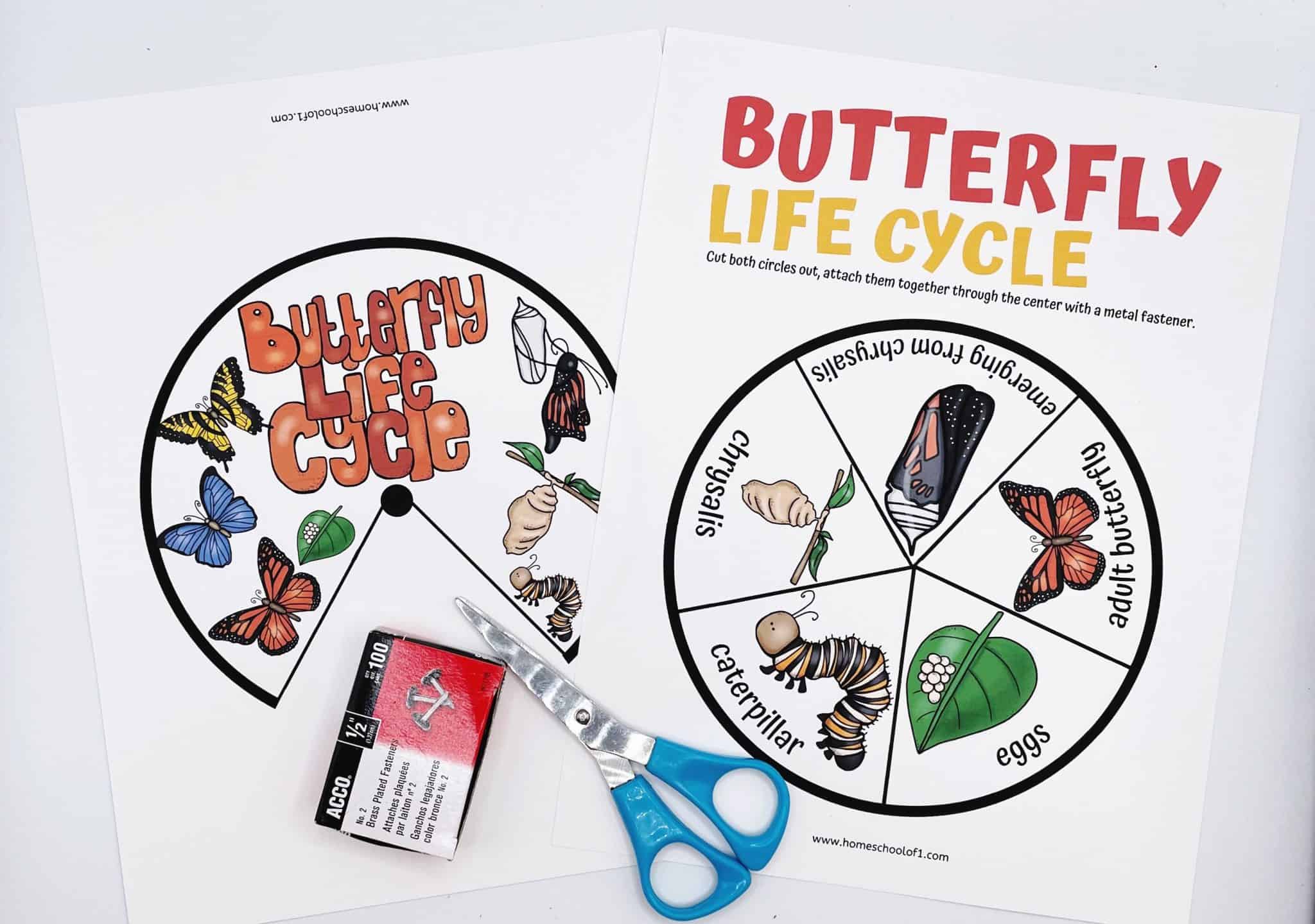 Life Cycle of a Butterfly Worksheets (7 free printables)
