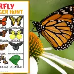 Free Butterfly Scavenger Hunt Printable for Kids