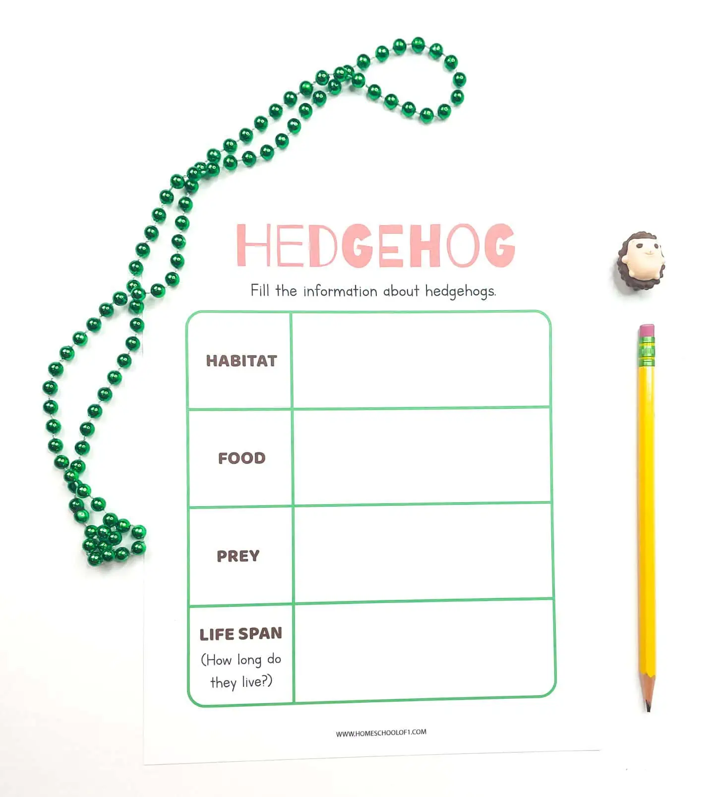 Free Life Cycle of a Hedgehog Worksheet for Kids