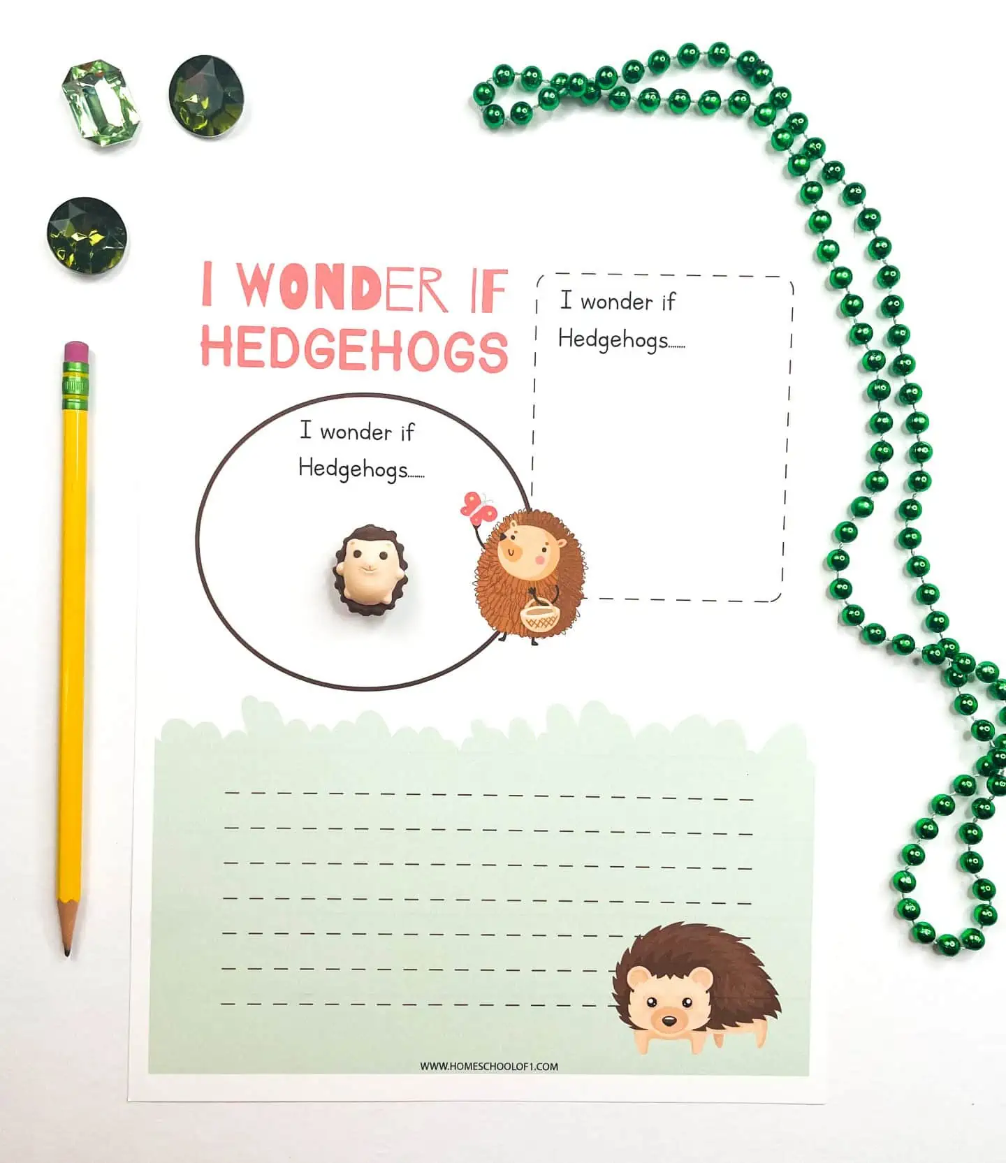 Free Life Cycle of a Hedgehog Worksheet for Kids