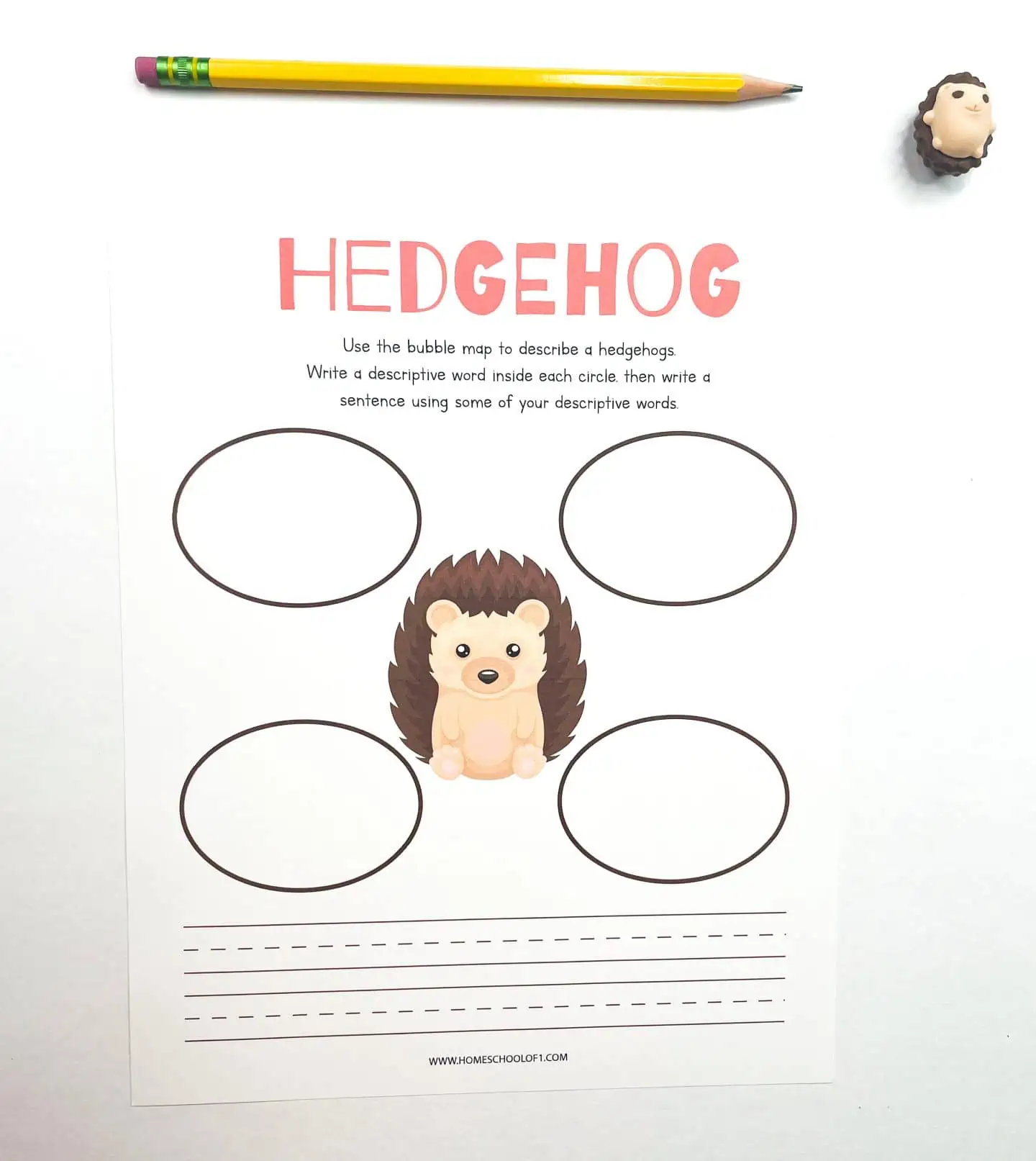 Free Life Cycle of a Hedgehog Worksheet for Kids