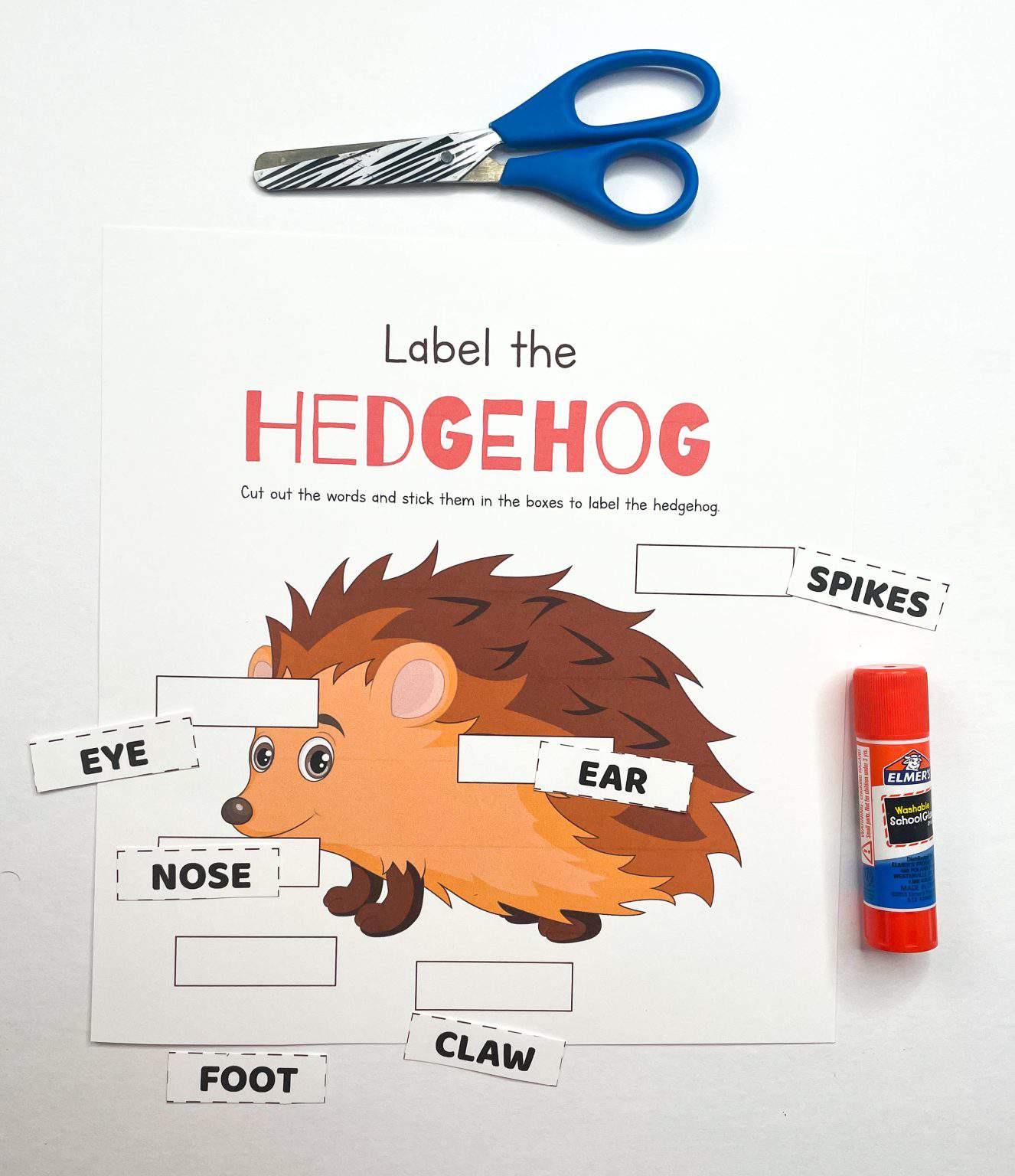Hedgehog Printables and Activities for Kids