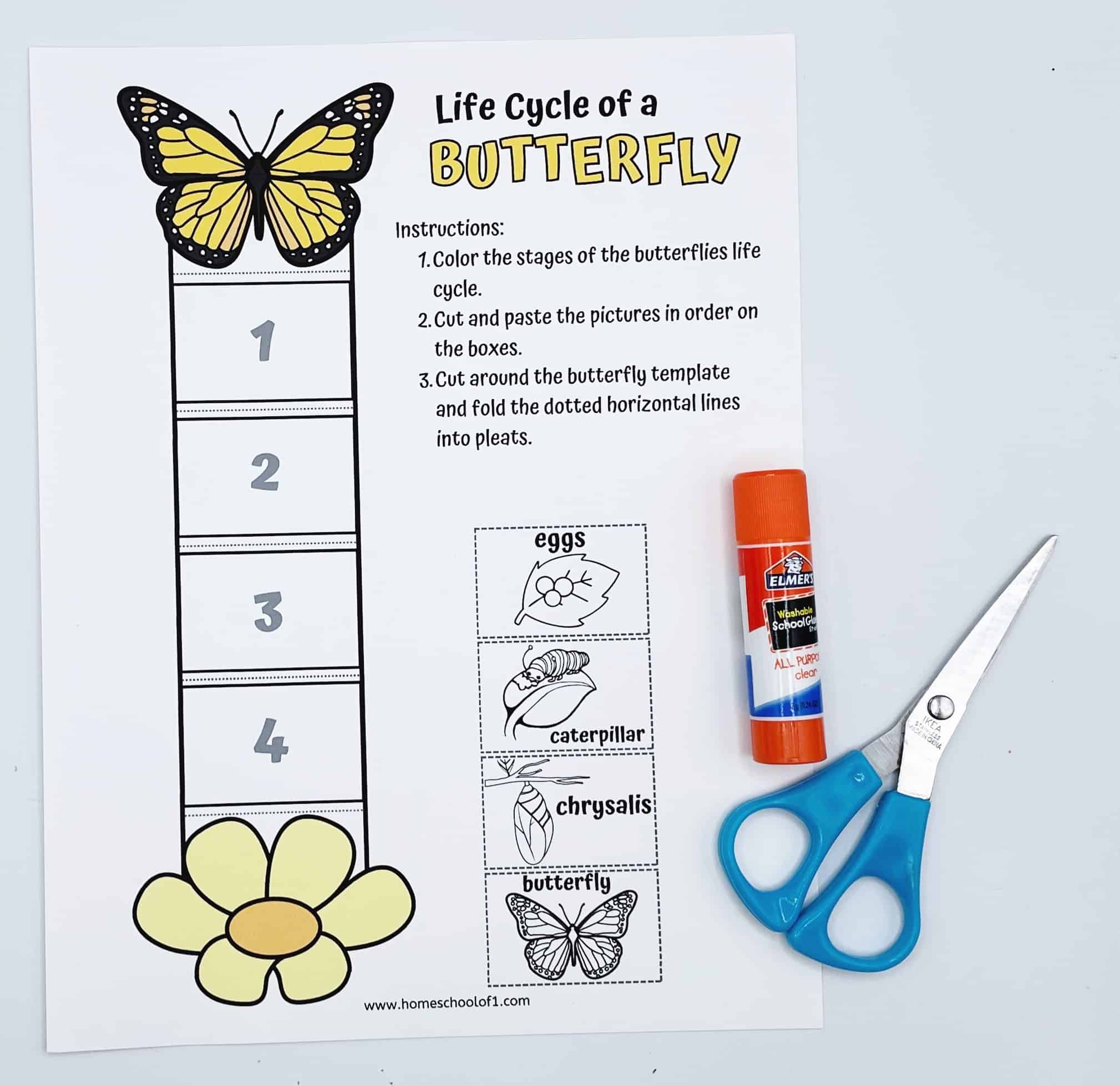 Life Cycle of a Butterfly (10 free printables) - Homeschool of One