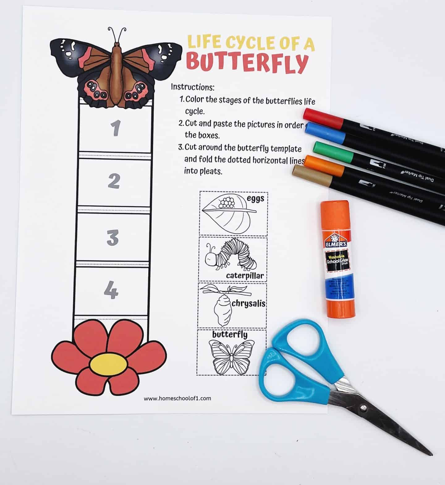 Life Cycle of a Butterfly Worksheets (7 free printables)