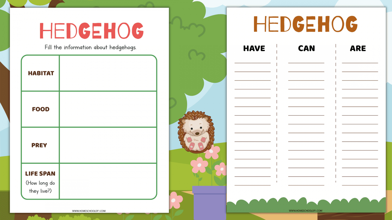 Life Cycle of a Hedgehog Worksheets (8 free pages) - Homeschool of 1