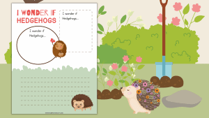 Life Cycle of a Hedgehog (8 free worksheets) - Homeschool of One