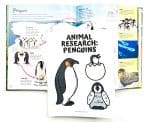 Life Cycle of a Penguin Worksheet for Kids