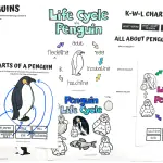10 Free Life Cycle of a Penguin Worksheets