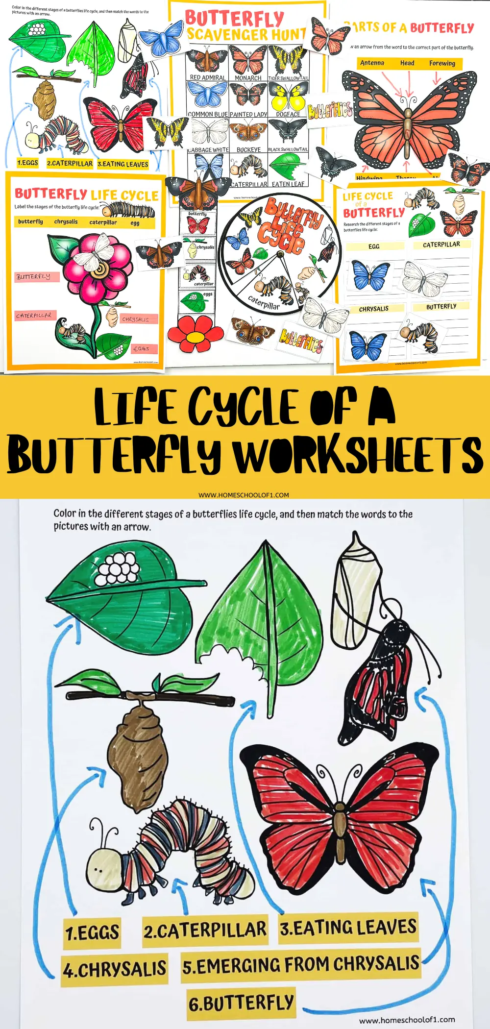 Life Cycle of a Butterfly Worksheets (7 Free Printables)