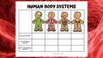 8 Human Body Systems Worksheets For Kids (free)