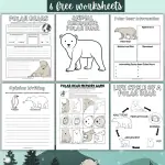 Free Polar Bear Life Cycle Worksheets