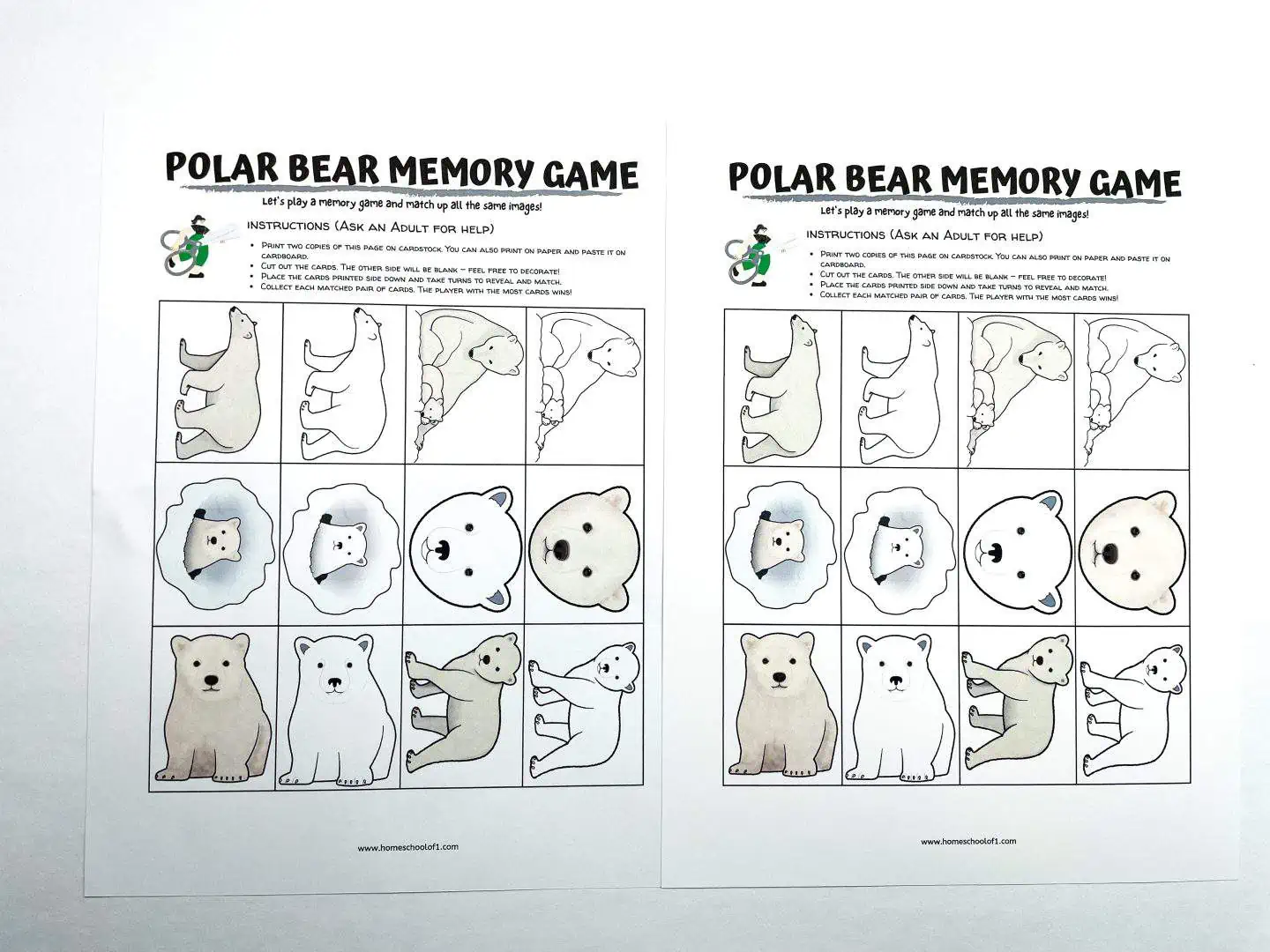 Free Polar Bear Life Cycle Worksheets