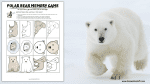 Free Polar Bear Life Cycle Worksheet - Homeschool of 1