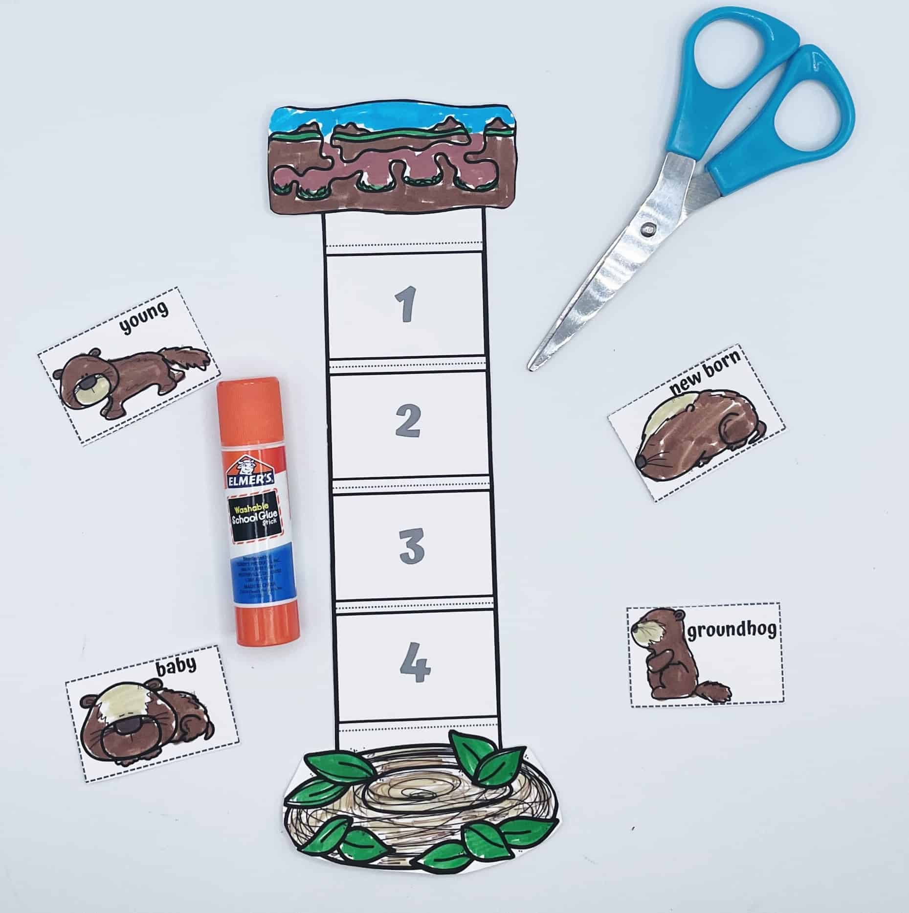Life Cycle of a Groundhog Worksheet (8 Free Activities)