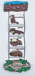 Life Cycle of a Groundhog Worksheet (8 Free Activities)