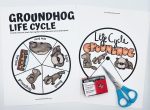 Life Cycle of a Groundhog Worksheet (8 Free Activities)