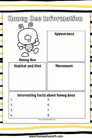 Life Cycle of a Honey Bee Worksheets (8 free printables)