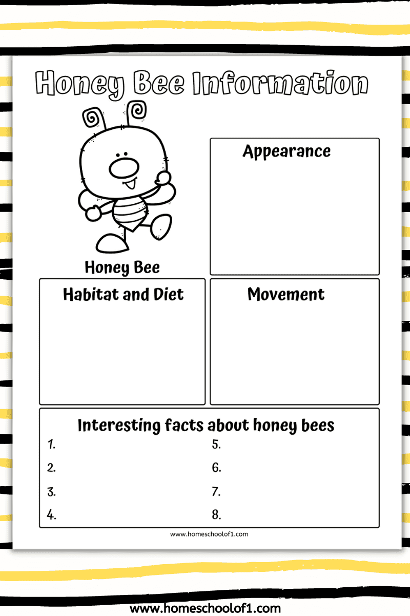 Free Life Cycle of a Bee Worksheet for Kids