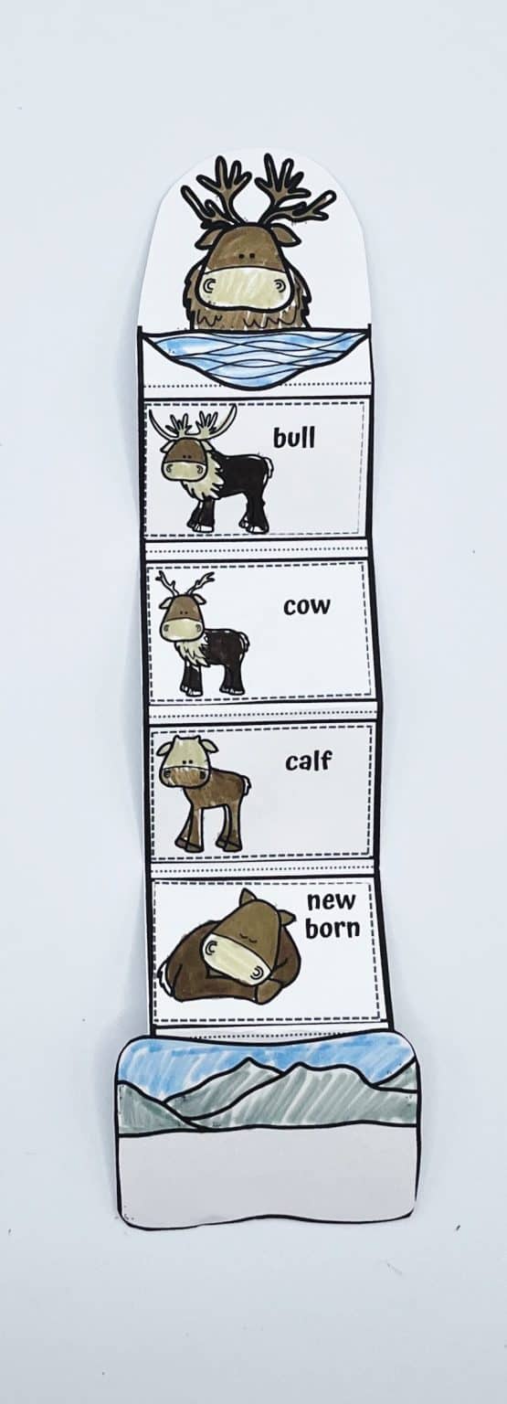 Free Life Cycle of a Reindeer Worksheet